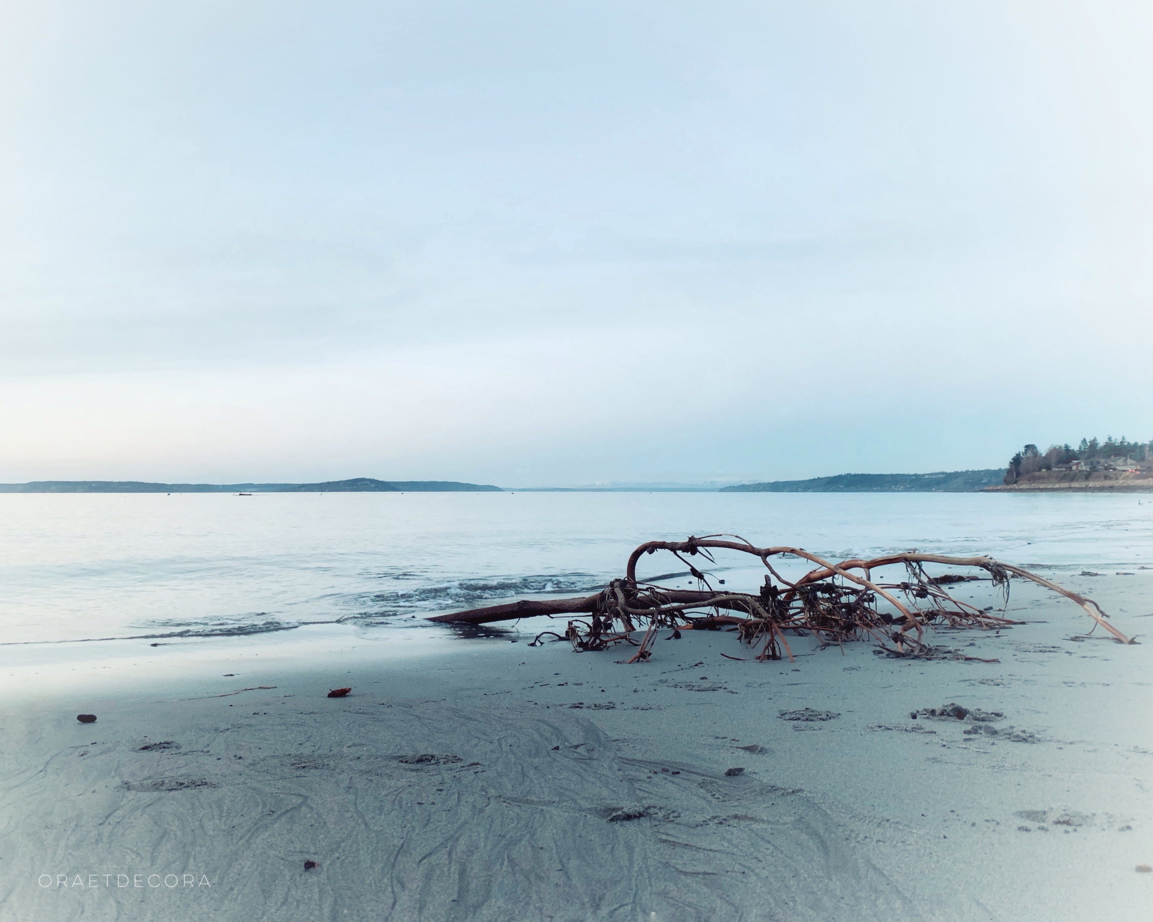 Lent 2021: WELCOME TO THE KINGDOM OF LOSERS! – ORA ET DECORA